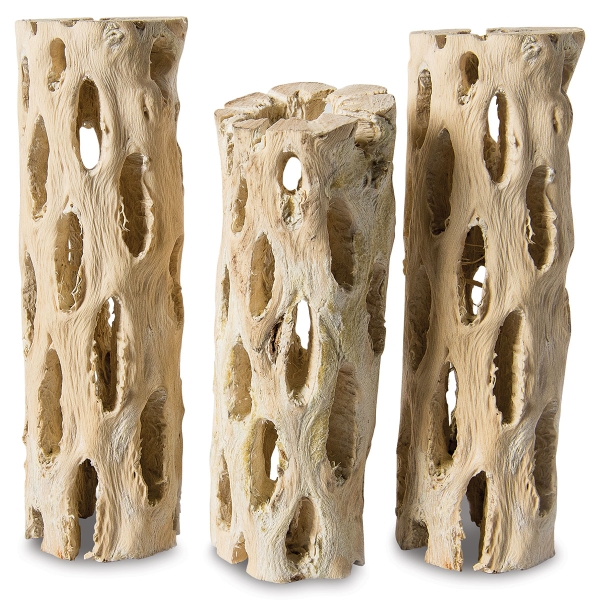 SuperMoss Cholla Wood - BLICK art materials
