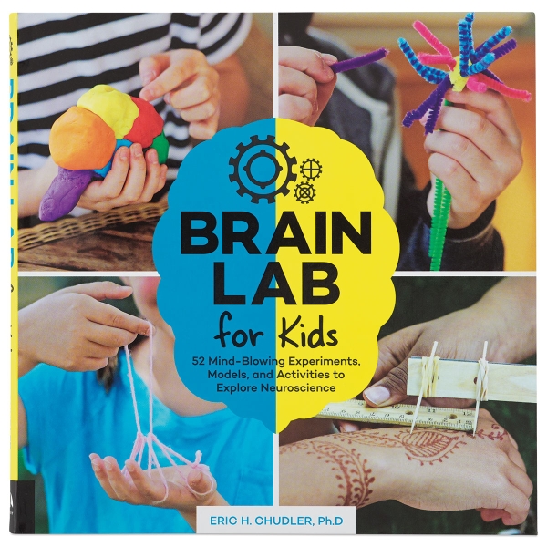 Brain Lab for Kids - BLICK art materials